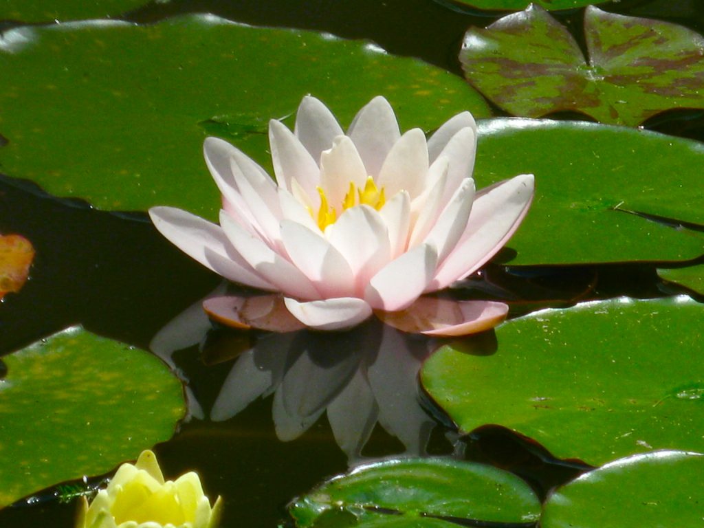 e-Resilience: Rethinking the Potential of ICTs towards Climate Change ...