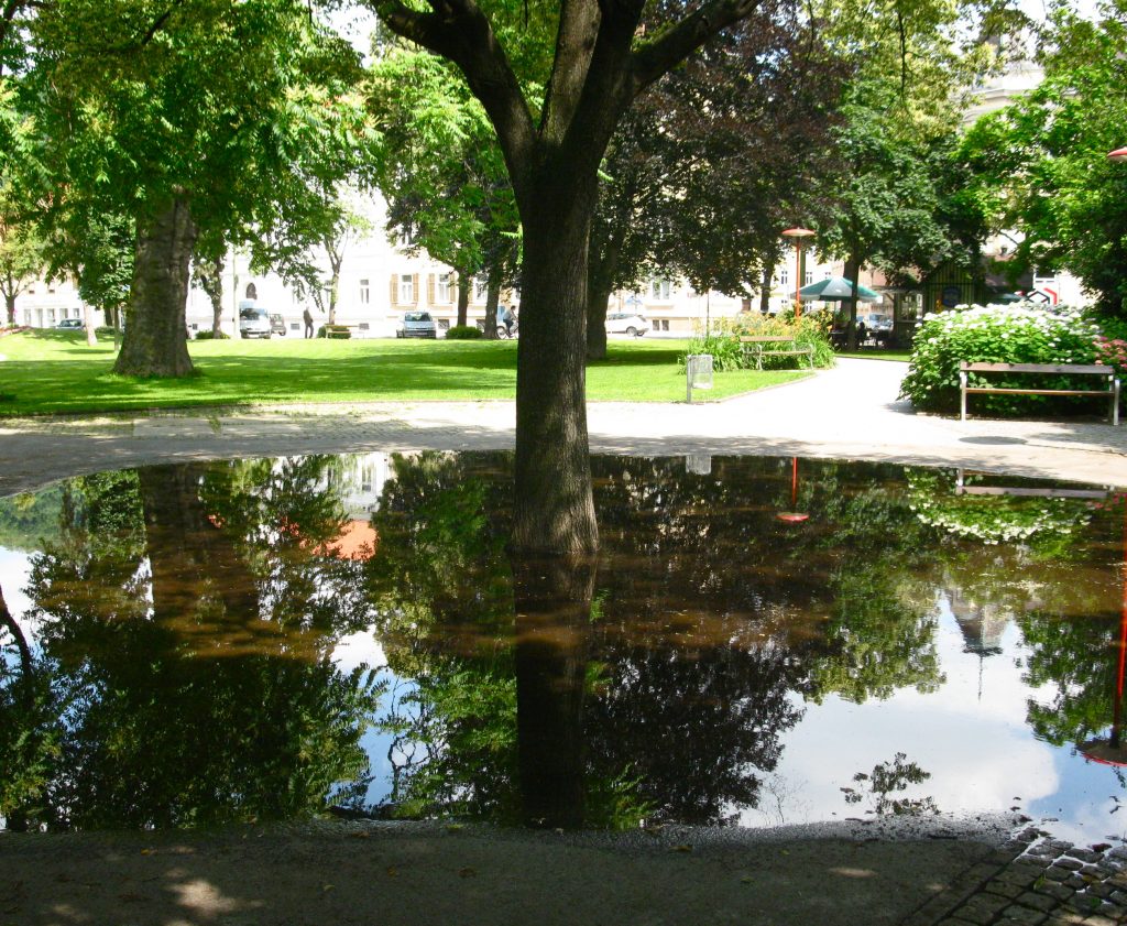 Climate Change Resilience and Innovation: Learning from New Orleans ...