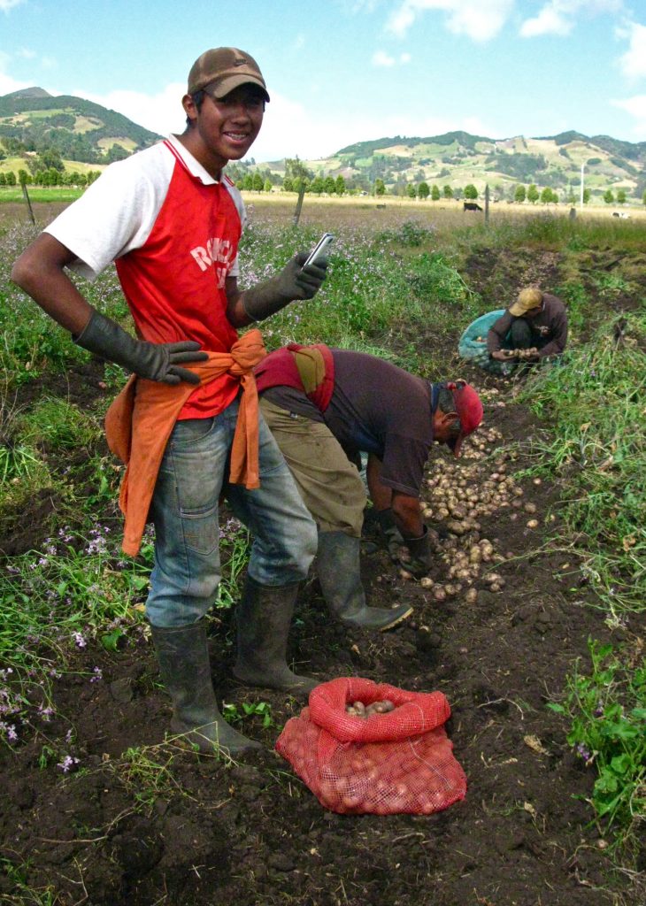 ICTs and Food Security: Connecting the Dots – Nexus for ICTs, Climate ...